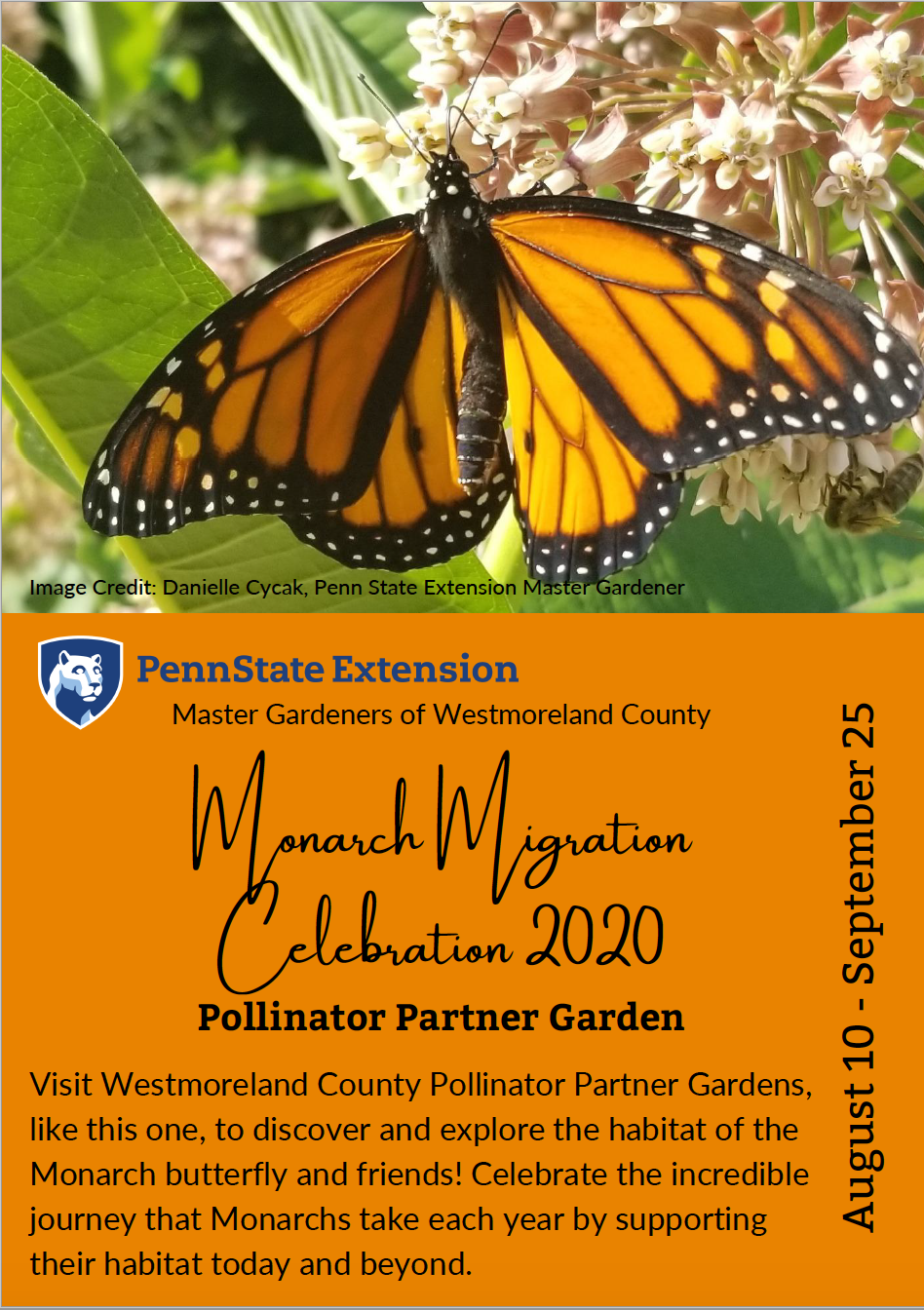 2020 Monarch Migration Celebration - Westmoreland County Historical Society